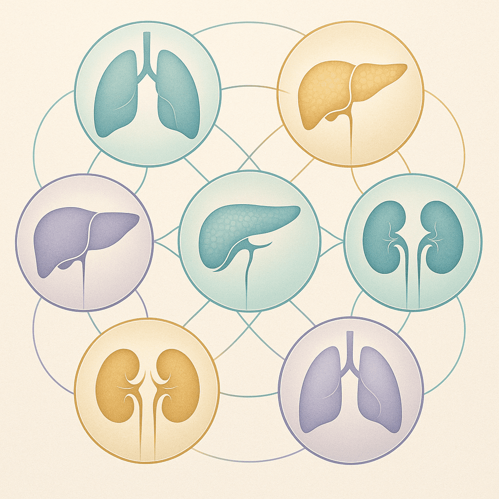 What is Constitutional Health? Discover Why Your Body Type Shapes Your ...